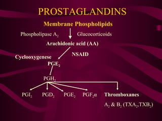 1. prostaglandins in labour dr rabi | PPT