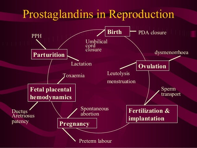 1. prostaglandins in labour dr rabi