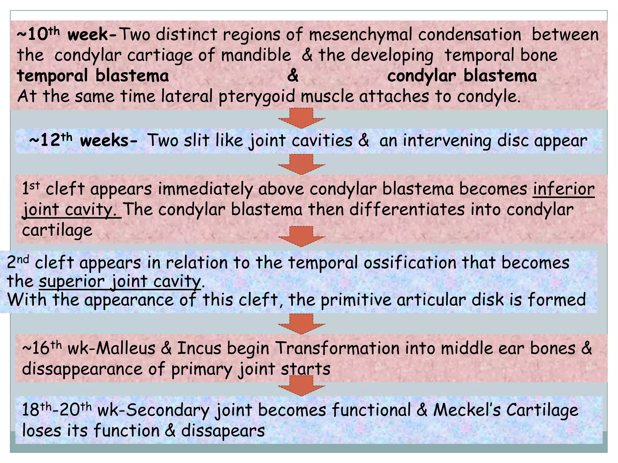 TEMPOROMANDIBULAR JOINT | PPTX