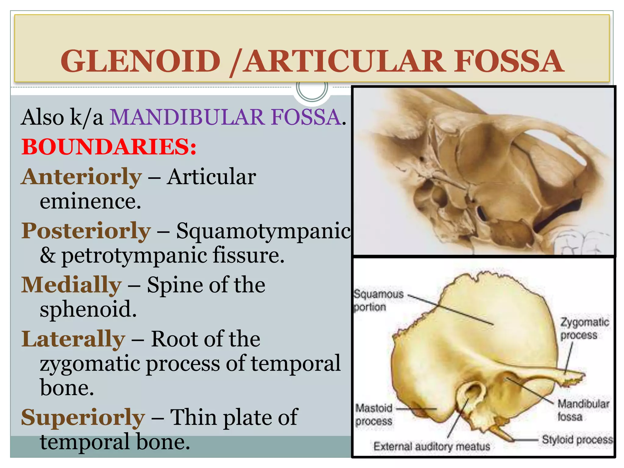 TEMPOROMANDIBULAR JOINT | PPTX