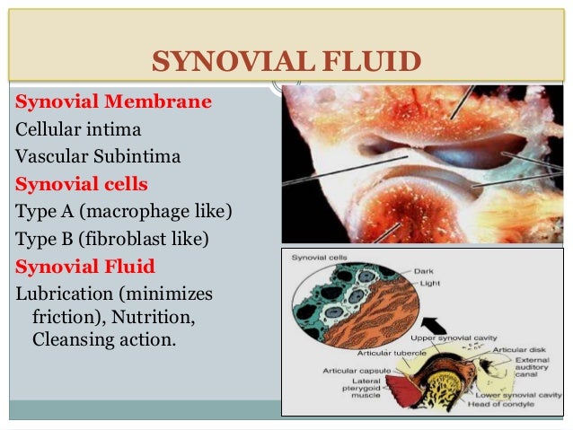 TEMPOROMANDIBULAR JOINT
