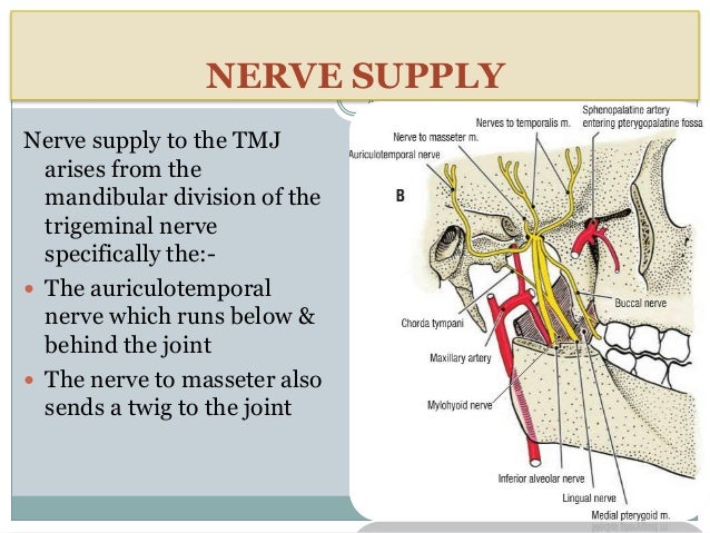 TEMPOROMANDIBULAR JOINT