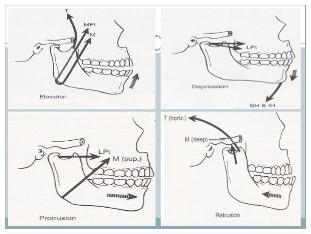 TEMPOROMANDIBULAR JOINT