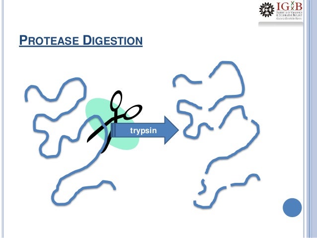 1.proteomics coursework-3 dec2012-aky