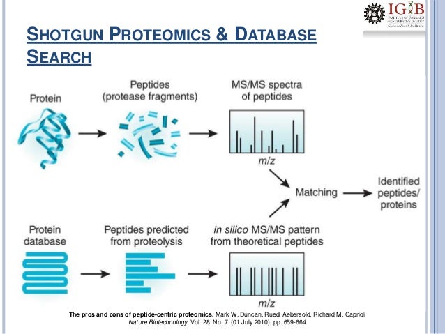 1.proteomics coursework-3 dec2012-aky