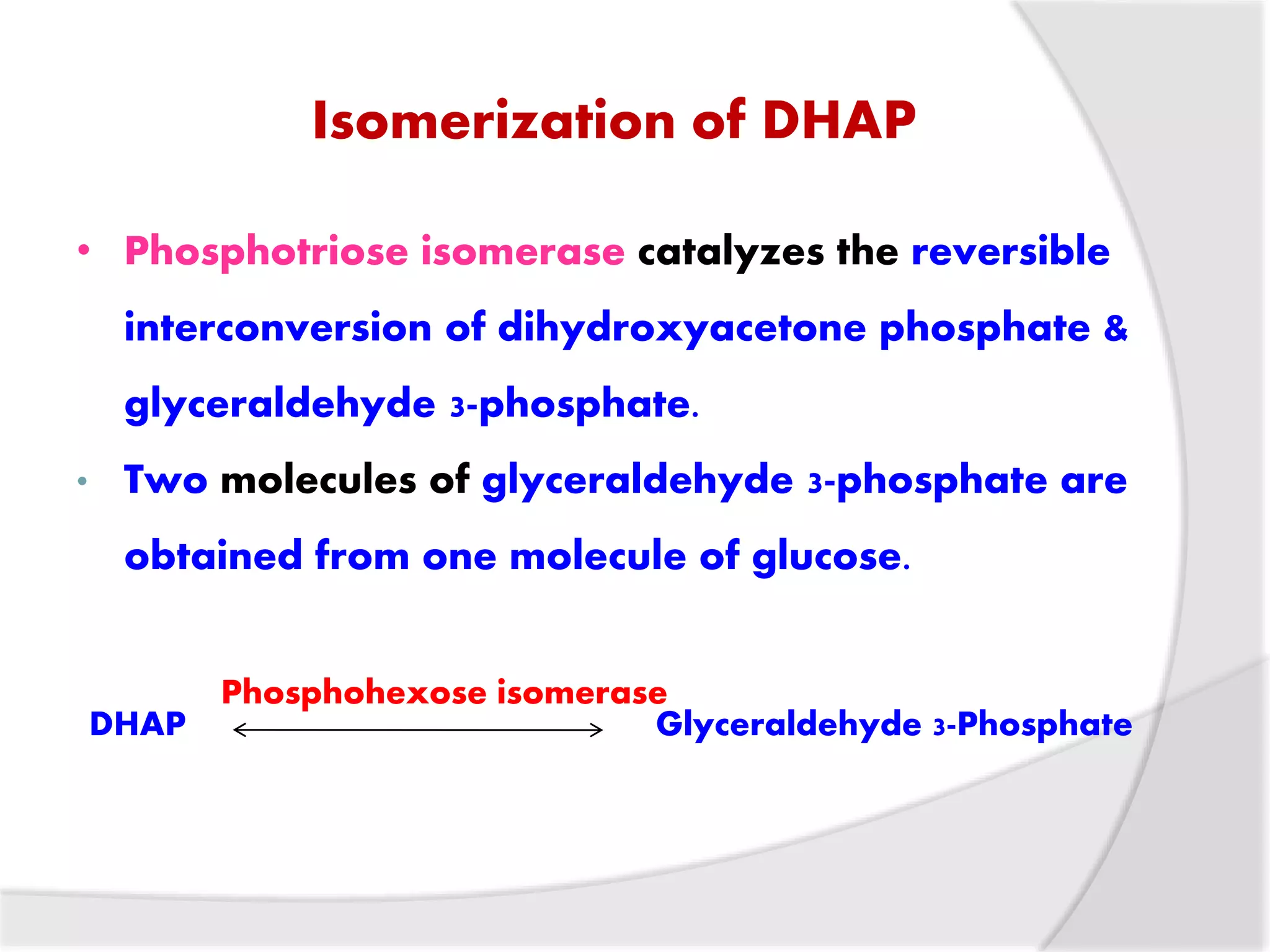 GLYCOLYSIS & ITS REGULATION | PPTX
