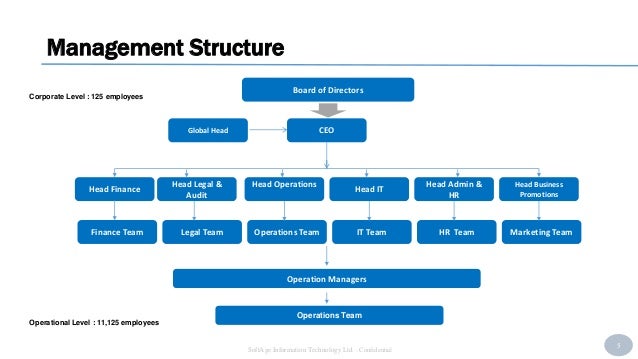 The SoftAge Advantage