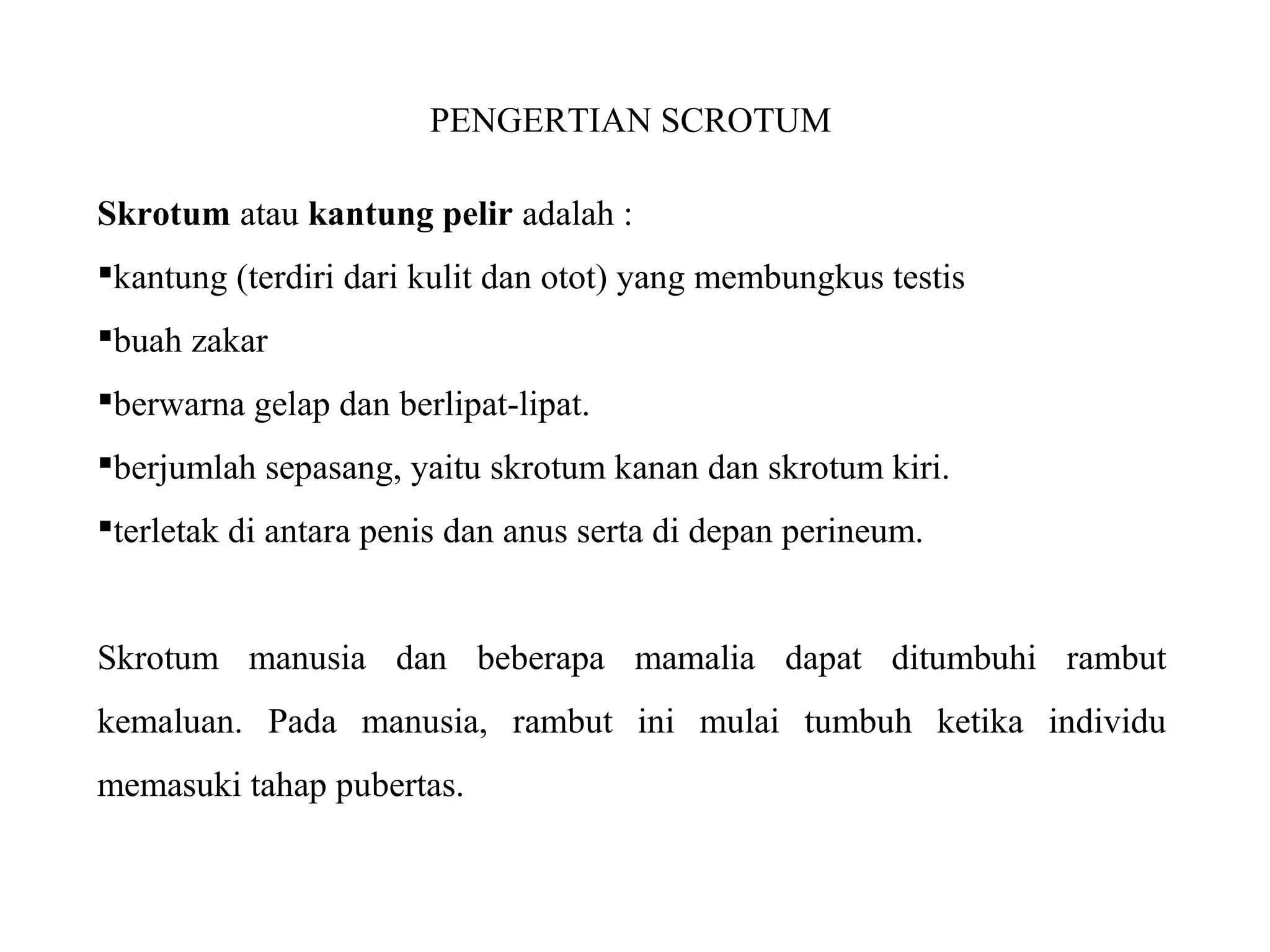 organ reproduksi jantan | PPT