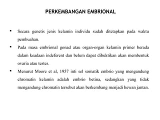 organ reproduksi jantan | PPT