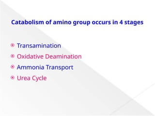 Amino acid metabolism transamination and deamination and urea cycle.pptx