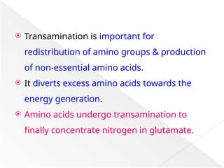 Amino acid metabolism transamination and deamination and urea cycle.pptx