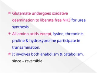 Amino acid metabolism transamination and deamination and urea cycle.pptx