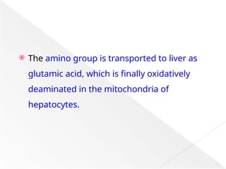 Amino acid metabolism transamination and deamination and urea cycle.pptx