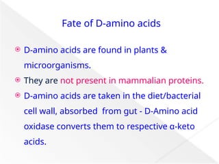 Amino acid metabolism transamination and deamination and urea cycle.pptx
