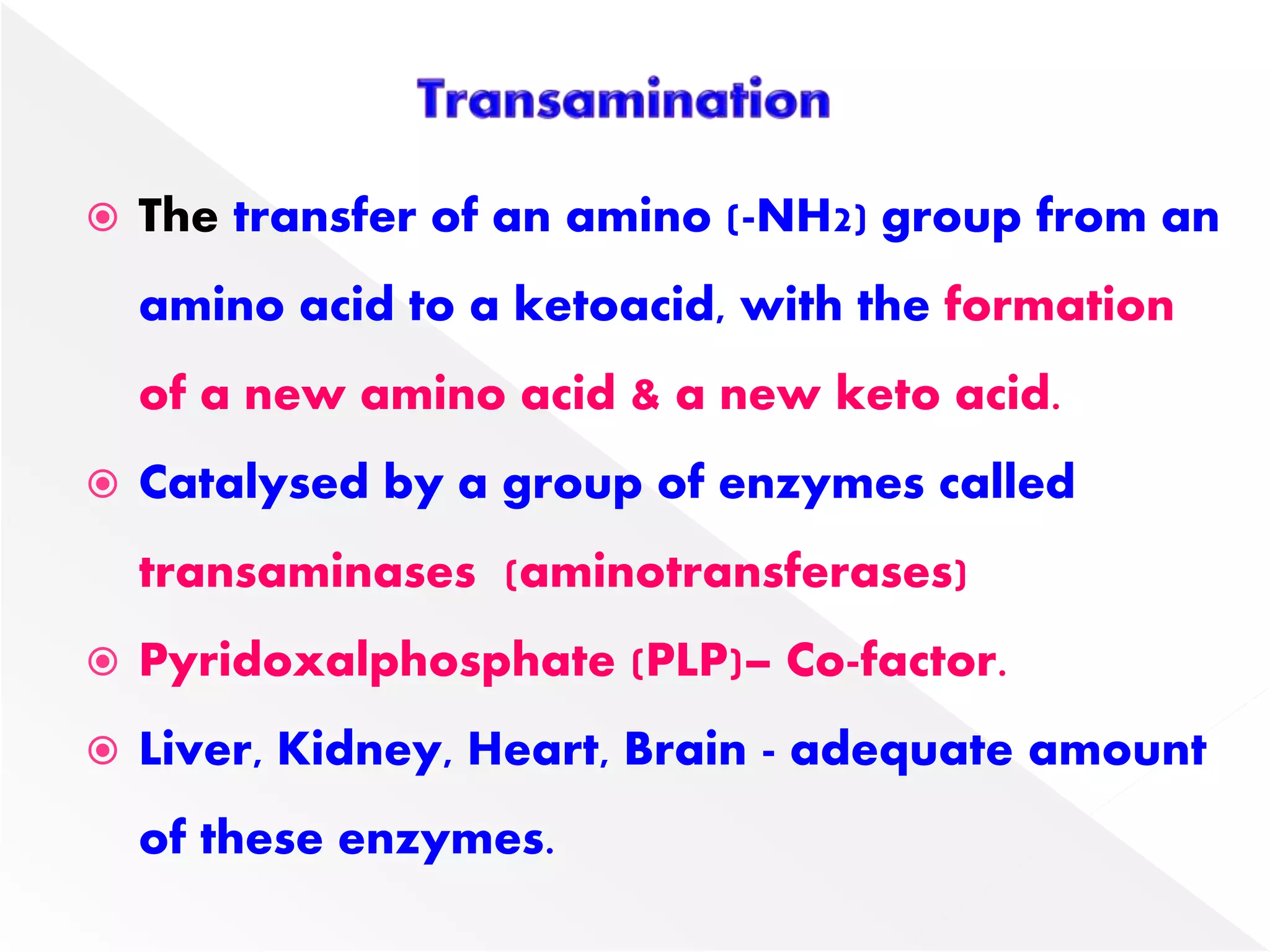 TRANSAMINATION & DEAMINATION | PPTX
