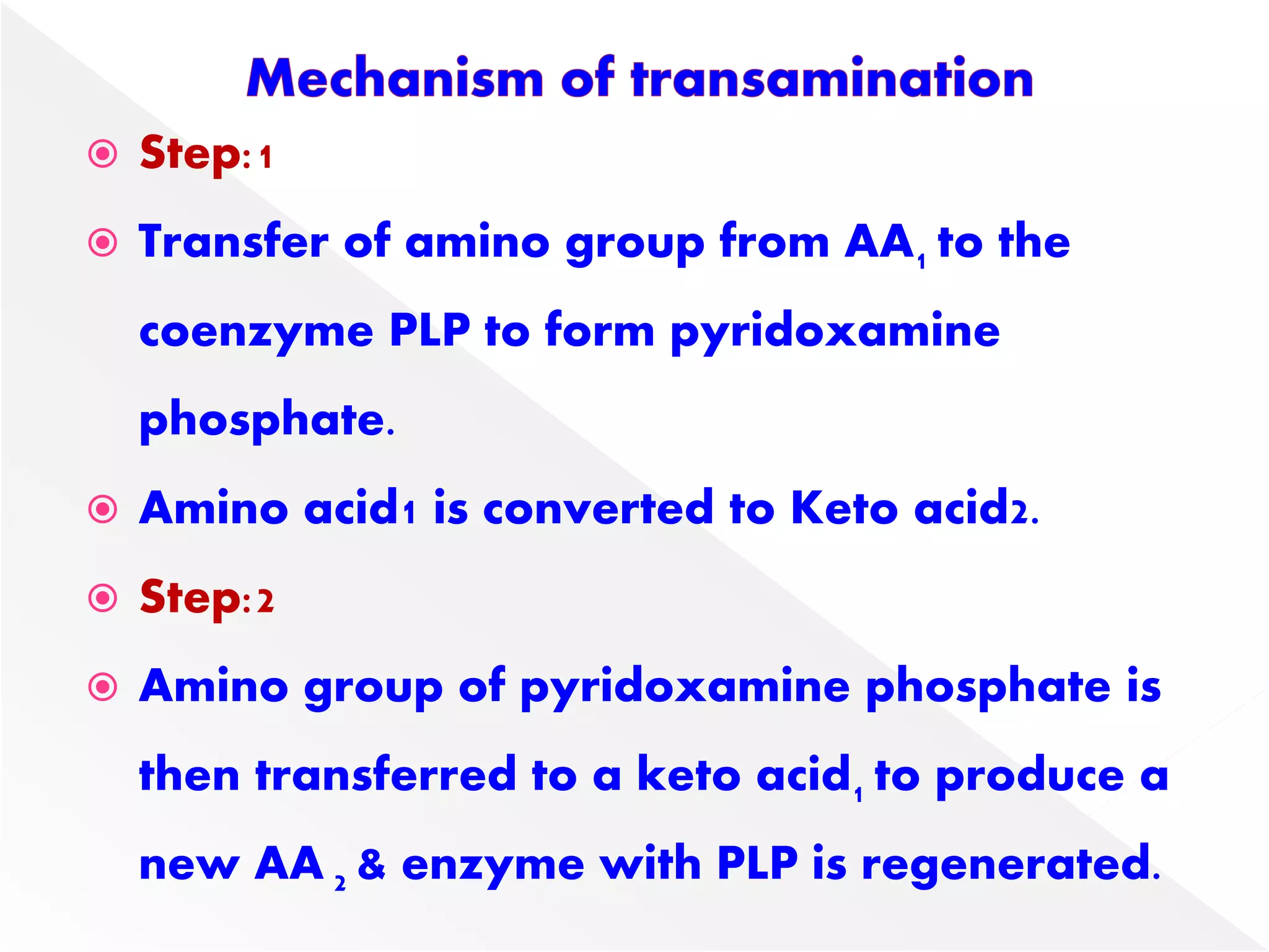 TRANSAMINATION & DEAMINATION | PPTX