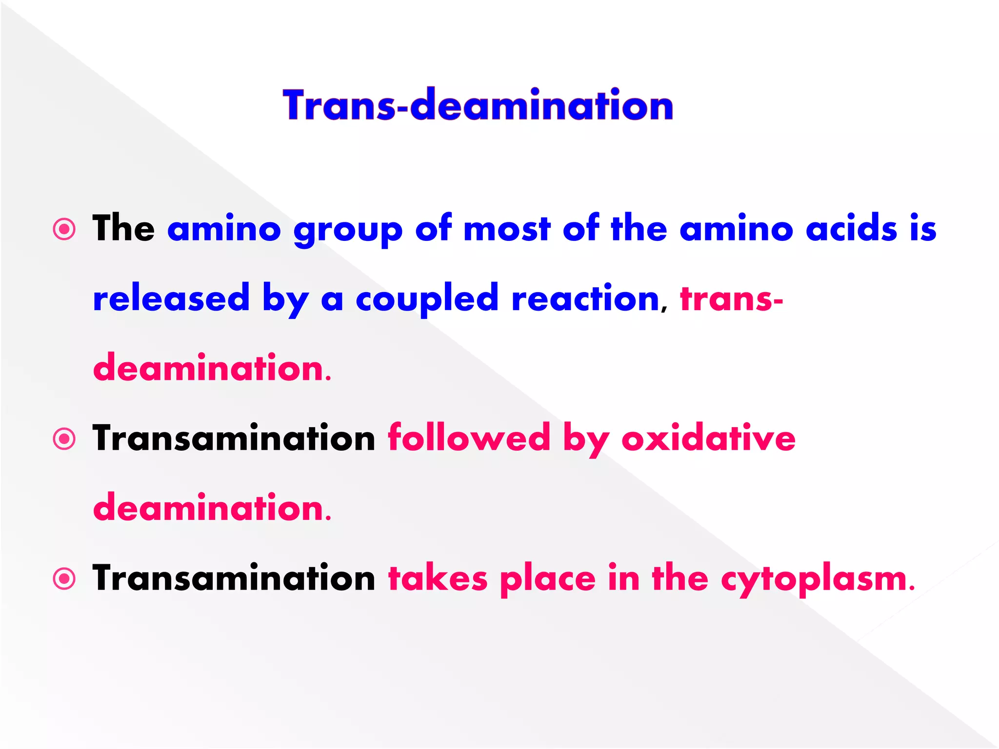 TRANSAMINATION & DEAMINATION | PPTX