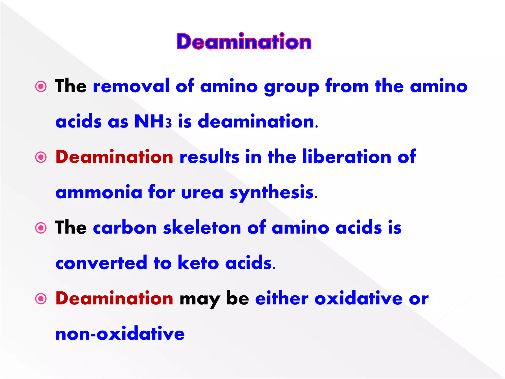 TRANSAMINATION & DEAMINATION | PPTX