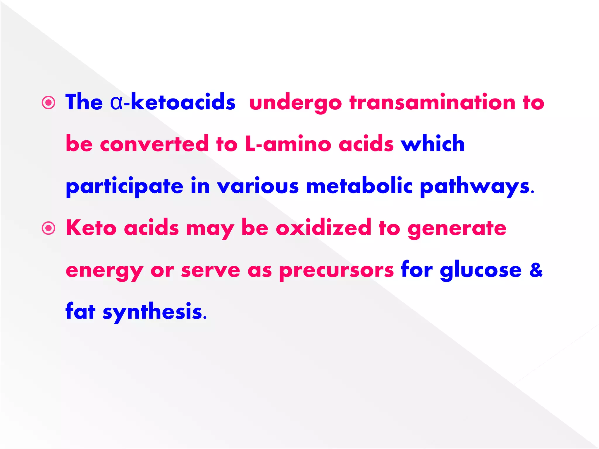 TRANSAMINATION & DEAMINATION | PPTX