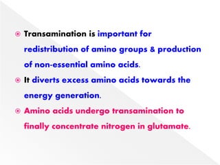 TRANSAMINATION & DEAMINATION | PPTX