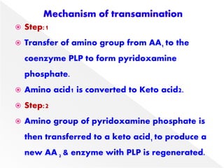 TRANSAMINATION & DEAMINATION | PPT