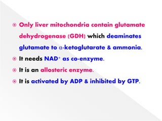 Glutamate Dehydrogenase Transamination