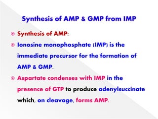 BIOSYNTHESIS OF PURINE NUCLEOTIDES | PPTX