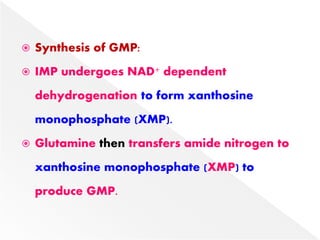 BIOSYNTHESIS OF PURINE NUCLEOTIDES | PPTX