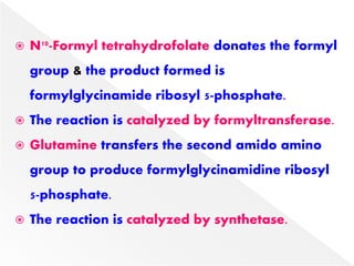 BIOSYNTHESIS OF PURINE NUCLEOTIDES | PPTX