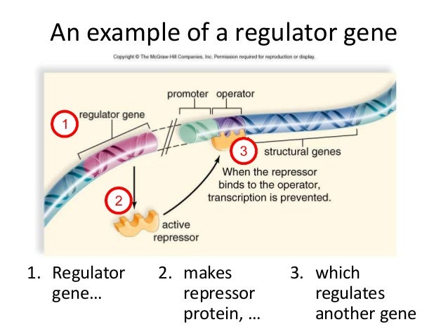 The Genetic Revolution: 1. Intro, Biological & Chemical Background
