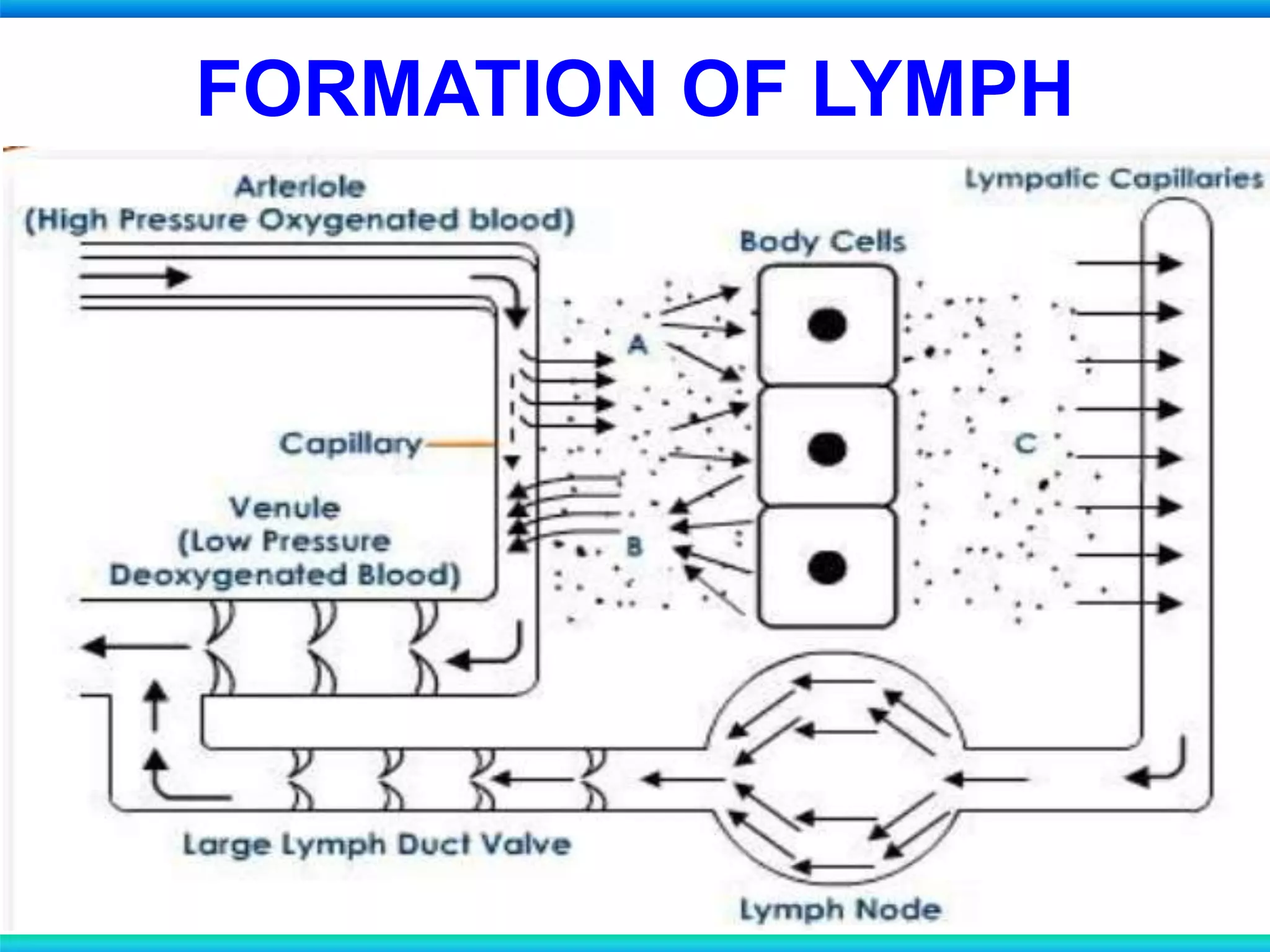 BIOLOGY FORM 5 CHAPTER 1: 1.4 THE LYMPHATIC SYSTEM | PPTX