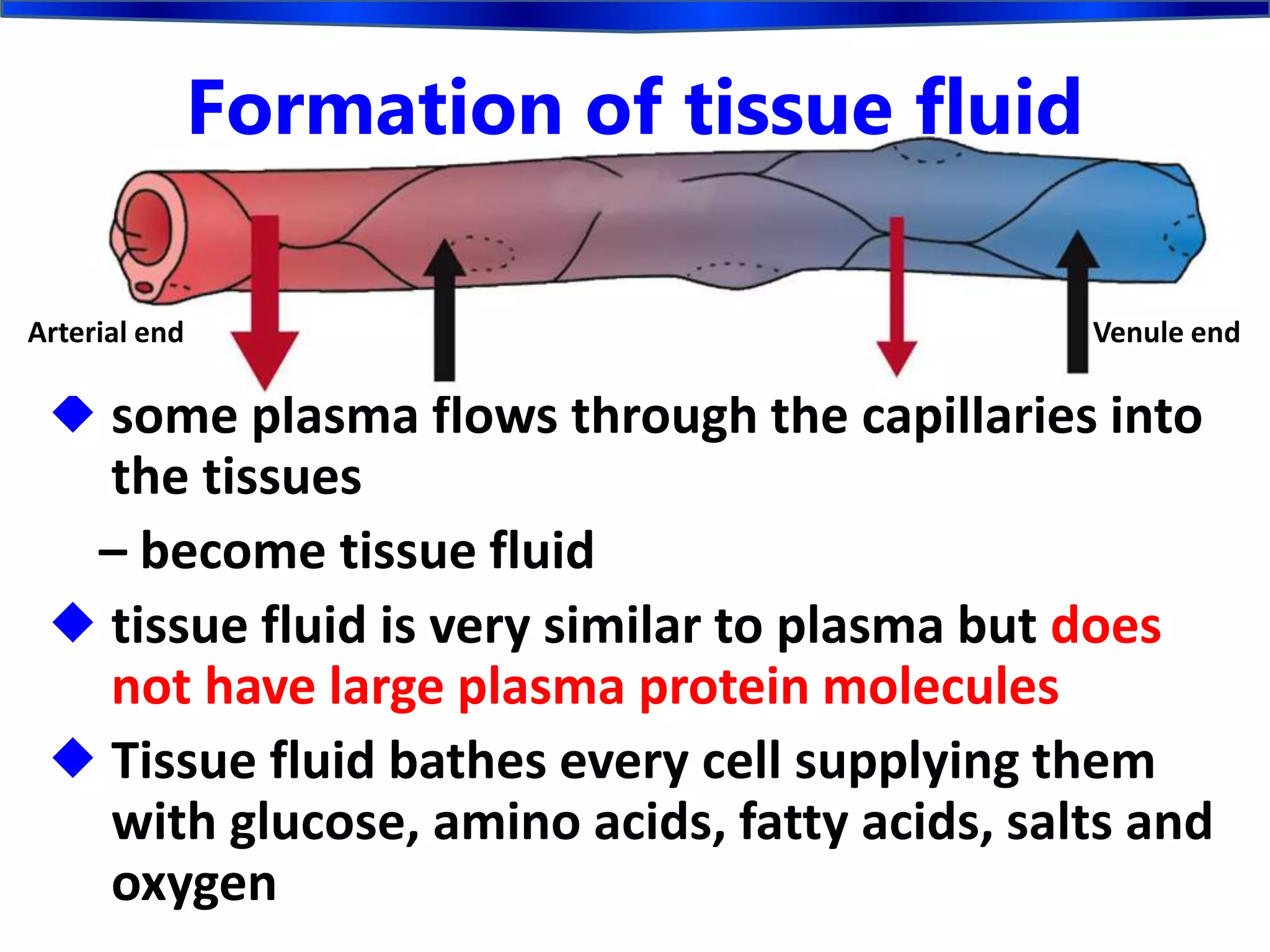 BIOLOGY FORM 5 CHAPTER 1: 1.4 THE LYMPHATIC SYSTEM | PPTX