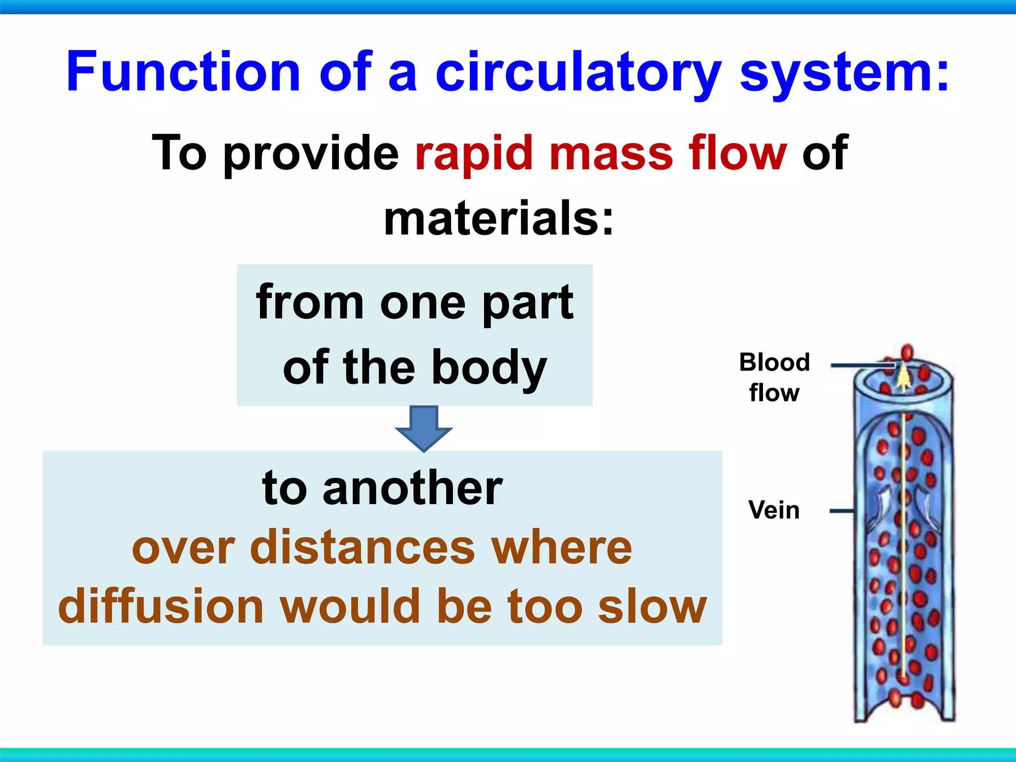 BIOLOGY FORM 5 CHAPTER 1: 1.2 CIRCULATORY SYSTEM | PPTX