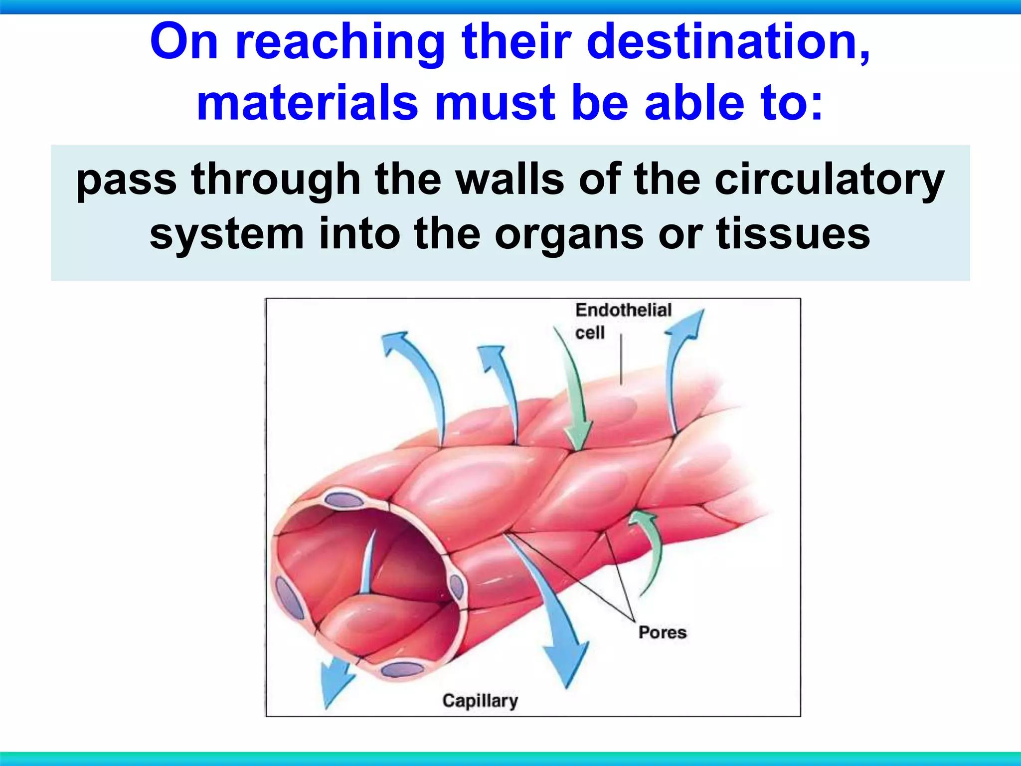 BIOLOGY FORM 5 CHAPTER 1: 1.2 CIRCULATORY SYSTEM | PPTX