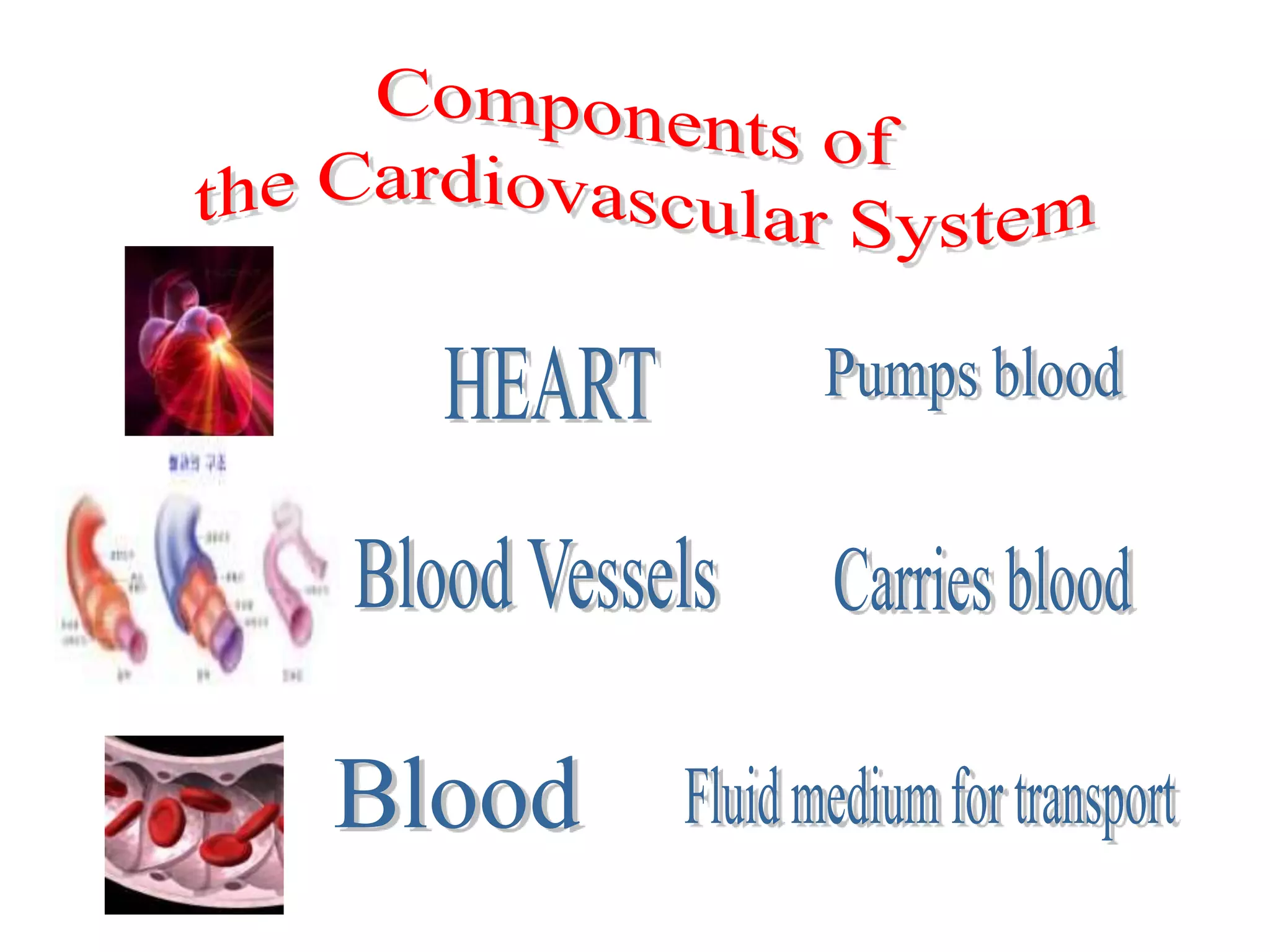 BIOLOGY FORM 5 CHAPTER 1: 1.2 CIRCULATORY SYSTEM | PPTX