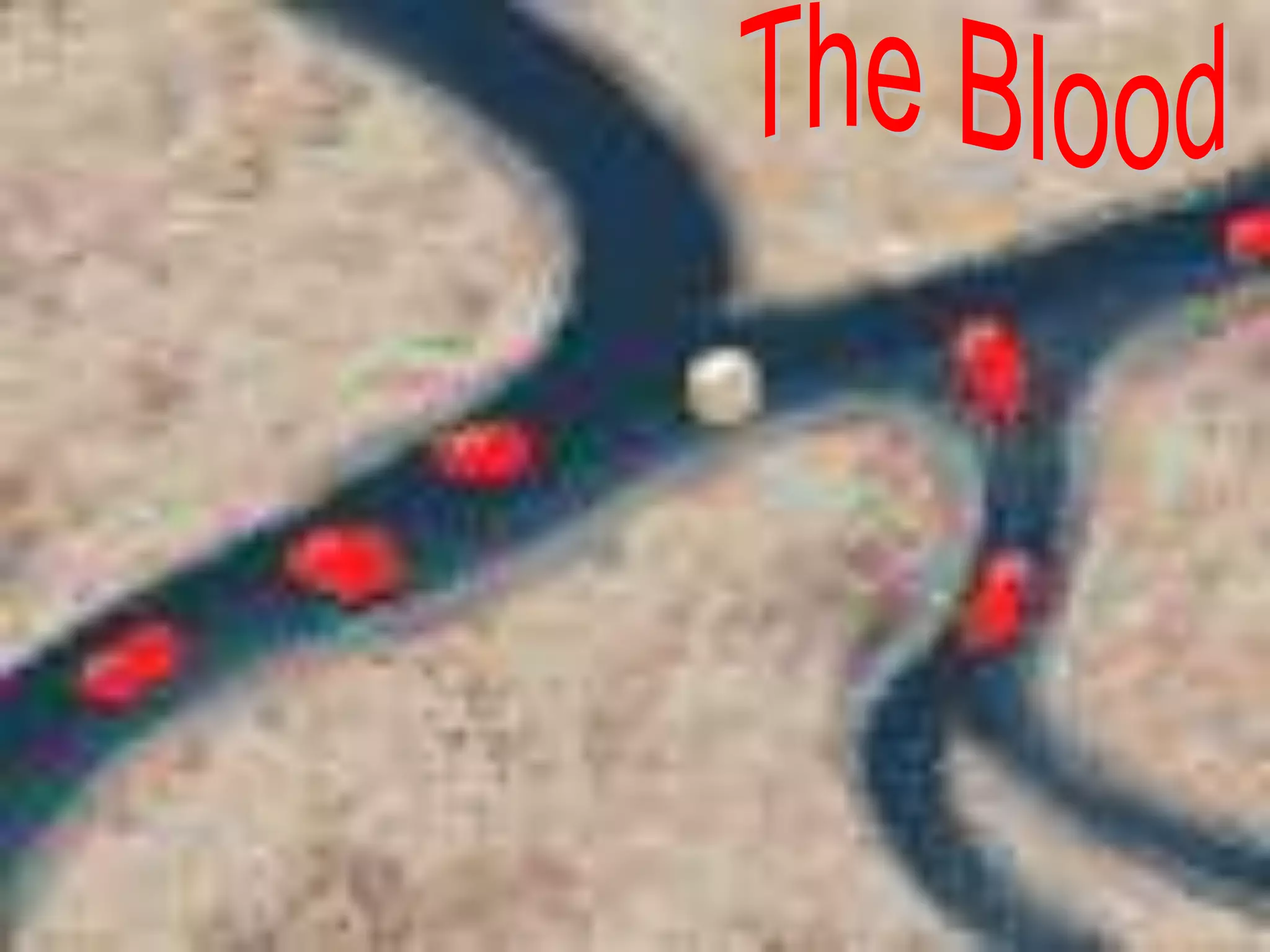 BIOLOGY FORM 5 CHAPTER 1: 1.2 CIRCULATORY SYSTEM | PPTX