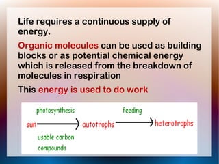 1. respiration introduction A level | PPT
