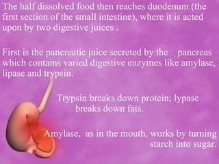 1.digestive juices | PPTX