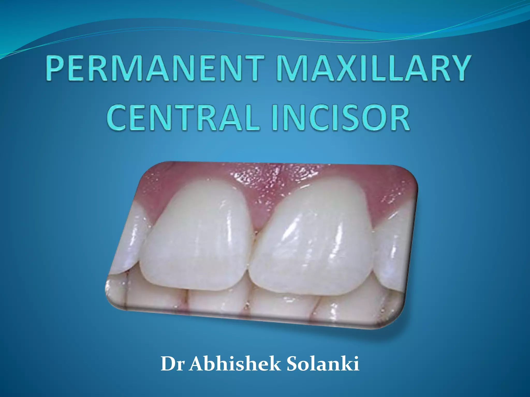 Permanent Maxillary Central Incisor | PPTX