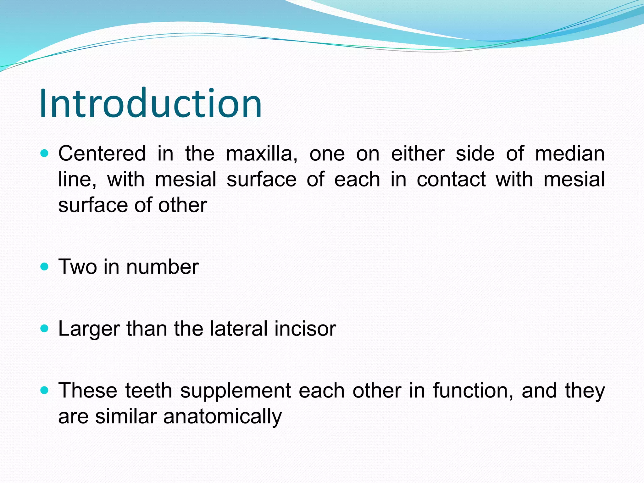 Permanent Maxillary Central Incisor | PPTX