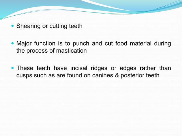 Permanent Maxillary Central Incisor | PPTX | Dental Health | Diseases ...