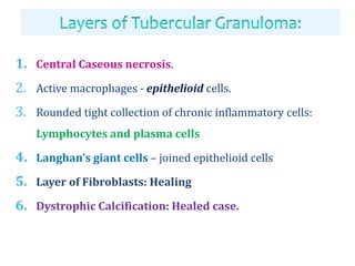 1. mycobacterial infection tuberculosis- dr. sinhasan, mdzah | PPTX