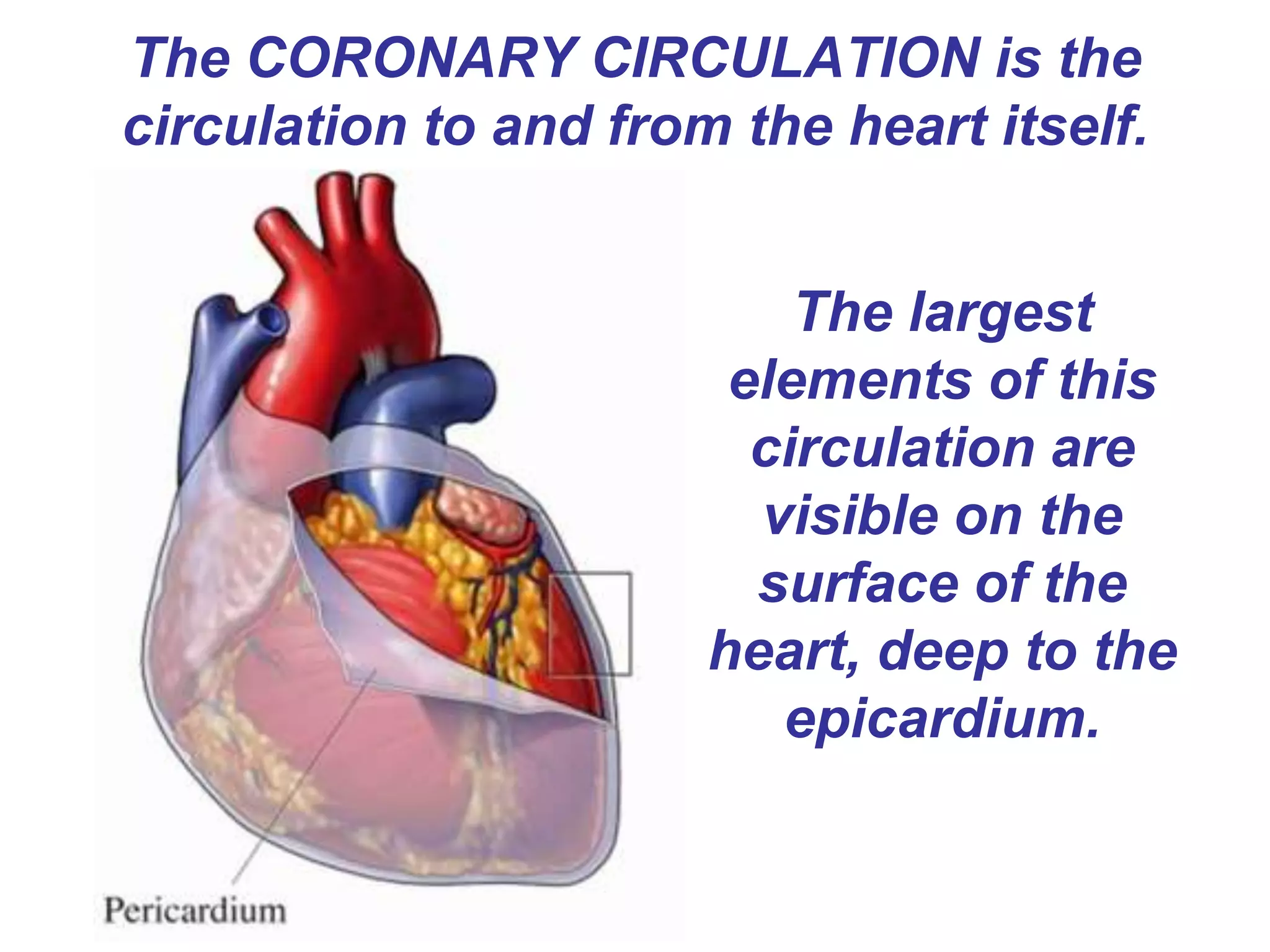 heart cardiac cycle | PPTX