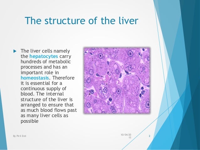 1.2.2 - OCR - A2 - Module 2 - The Liver - by Piril Erel