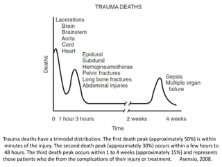 1. primeira apresentação rx do trauma | PPTX