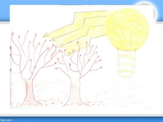 Light pollution drawings | PPTX