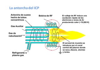 1 Principios Básicos De La Técnica Icp Ms Docx