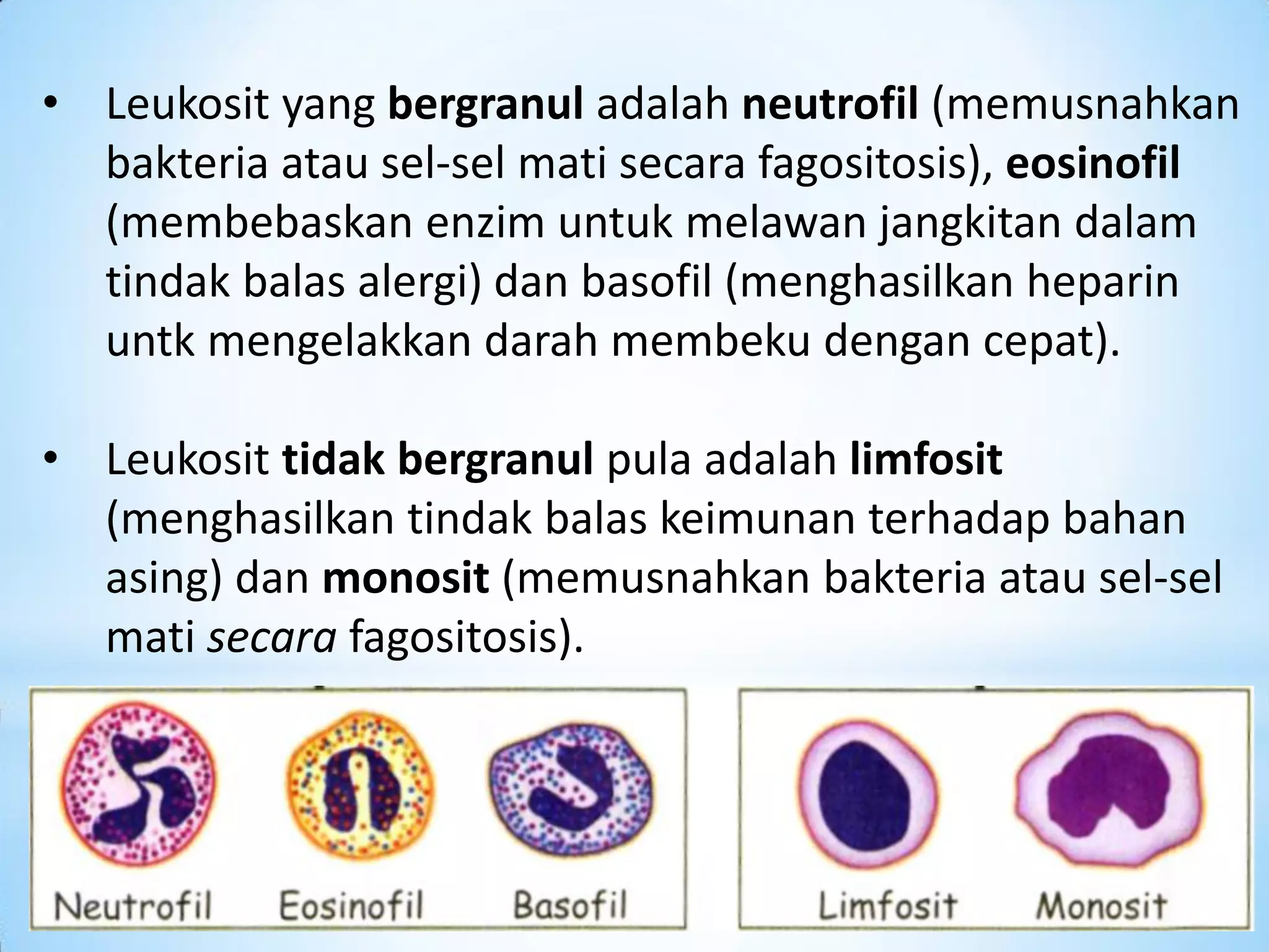 1.2 konsep sistem peredaran darah | PDF