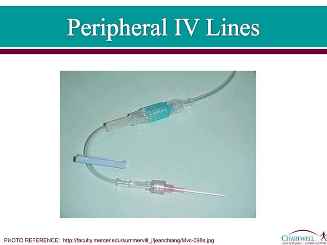 1. peripheral and midline iv lines | PPT