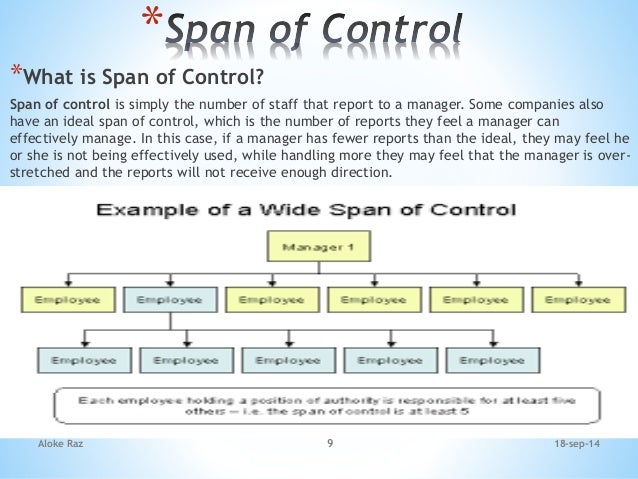 Management functions and structure